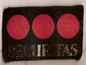 Safnið mitt SECURITAS á Íslandi